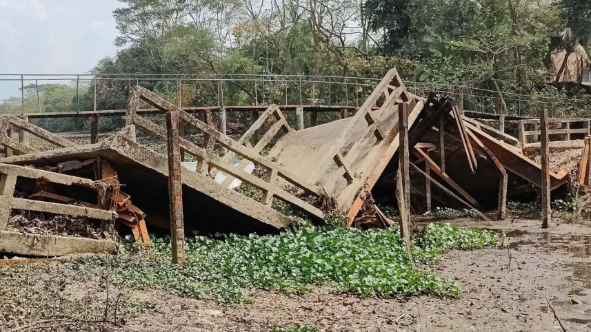 Collapsed bridge in Kuakata leaves commuters at risk | The Daily Star