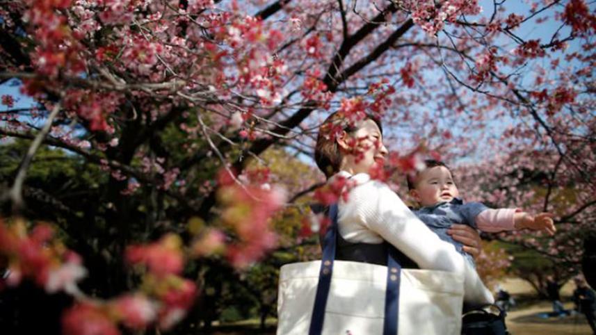 Japan births fall to new historic low | The Daily Star
